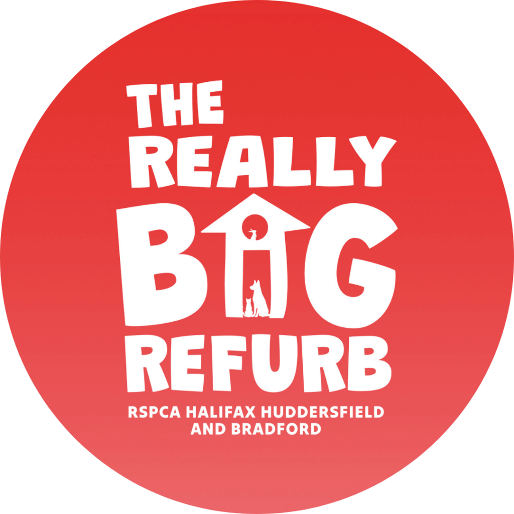 Stray Dogs - RSPCA Halifax, Huddersfield, Bradford District Branch