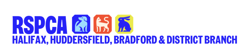 All For Paws lamb Flying Mouse Cat Wand - RSPCA Halifax, Huddersfield ...