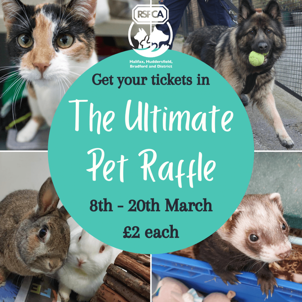 The Ultimate Pet Raffle is Live! - RSPCA Halifax, Huddersfield ...
