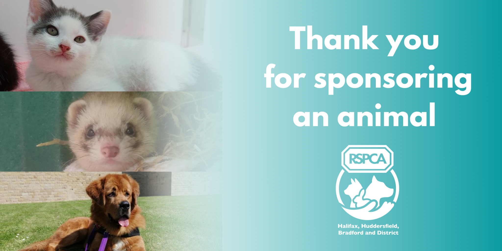 Thank you for sponsoring an animal! - RSPCA Halifax, Huddersfield ...