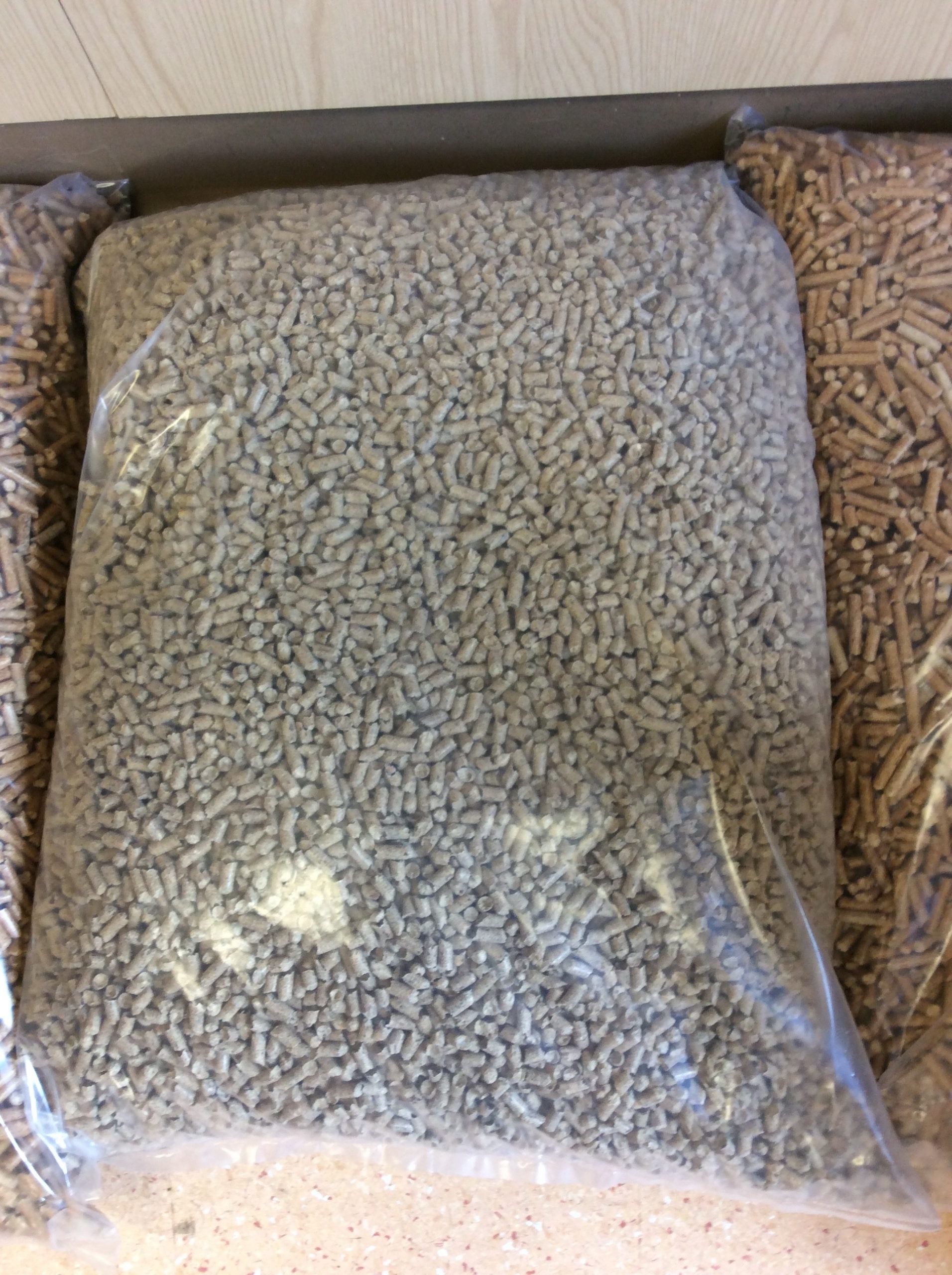 Litter and Accessories Archives - RSPCA Halifax, Huddersfield, Bradford ...