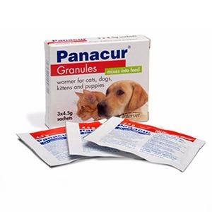 Panacur worming granules 4.5g sachet - RSPCA Halifax, Huddersfield ...