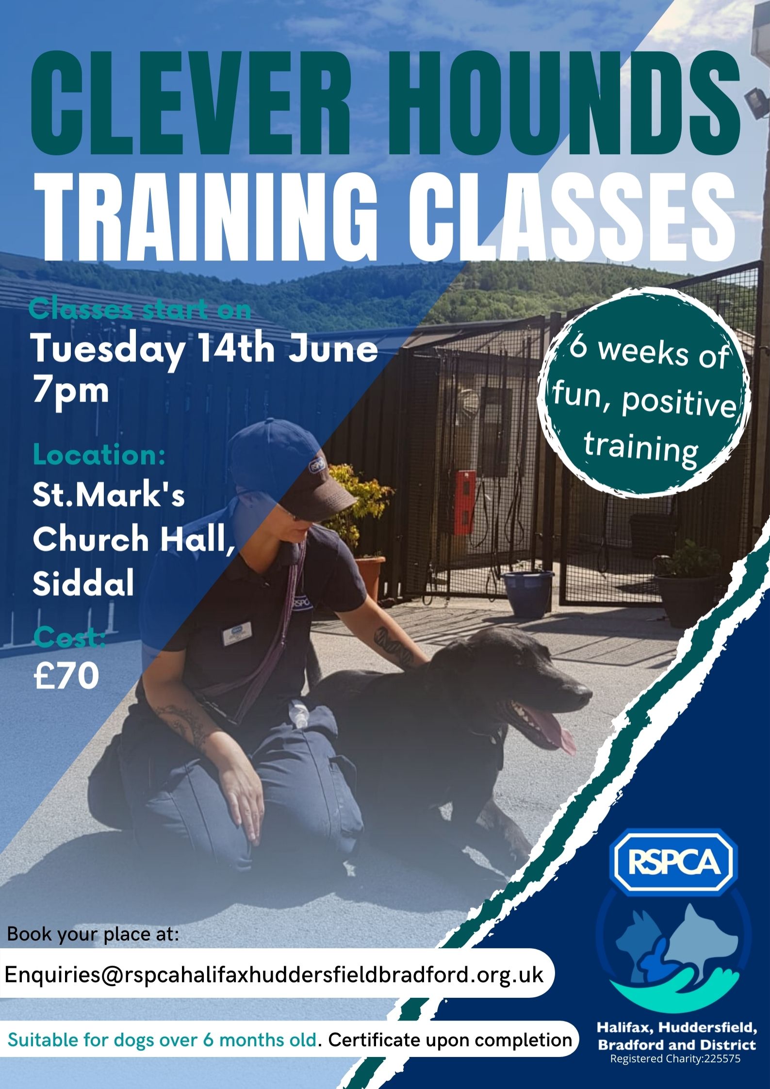 We're launching Puppy & Dog Training Classes! - RSPCA Halifax ...