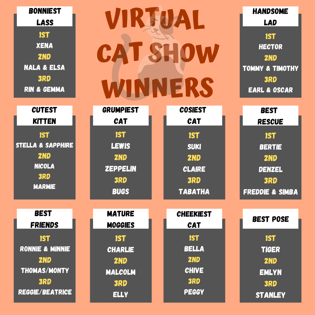 We've chosen our Virtual Cat Show & Raffle winners!... - RSPCA Halifax ...
