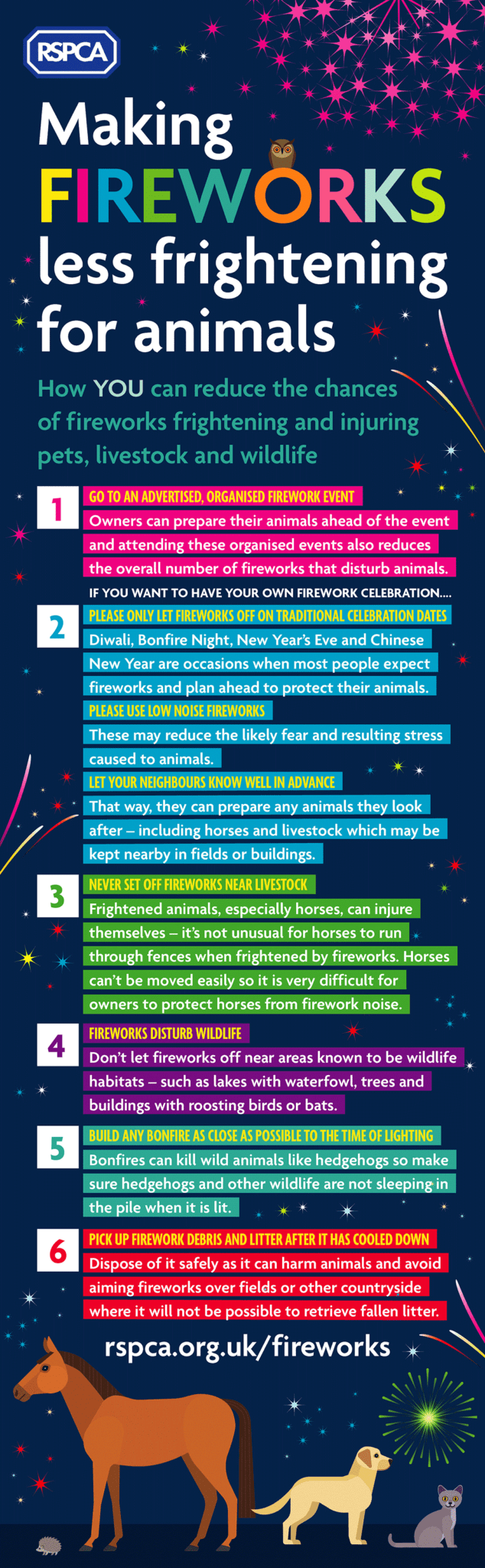 Pets & Fireworks - RSPCA Halifax, Huddersfield, Bradford District Branch