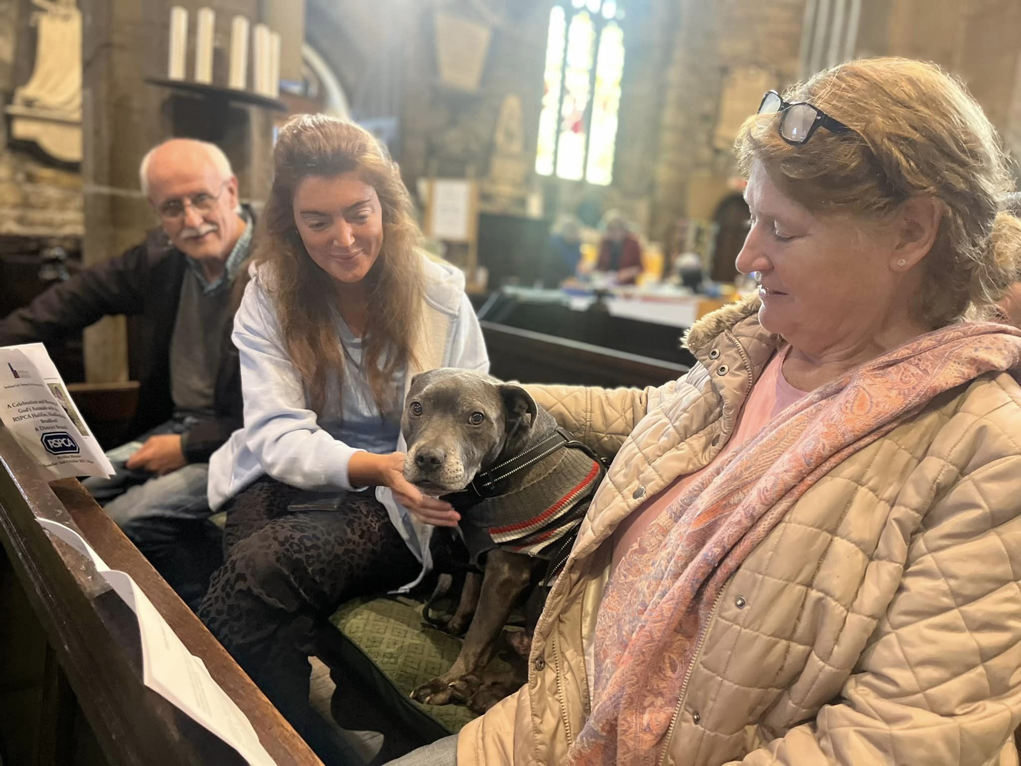 Celebrating World Animal Day! - RSPCA Halifax, Huddersfield, Bradford ...