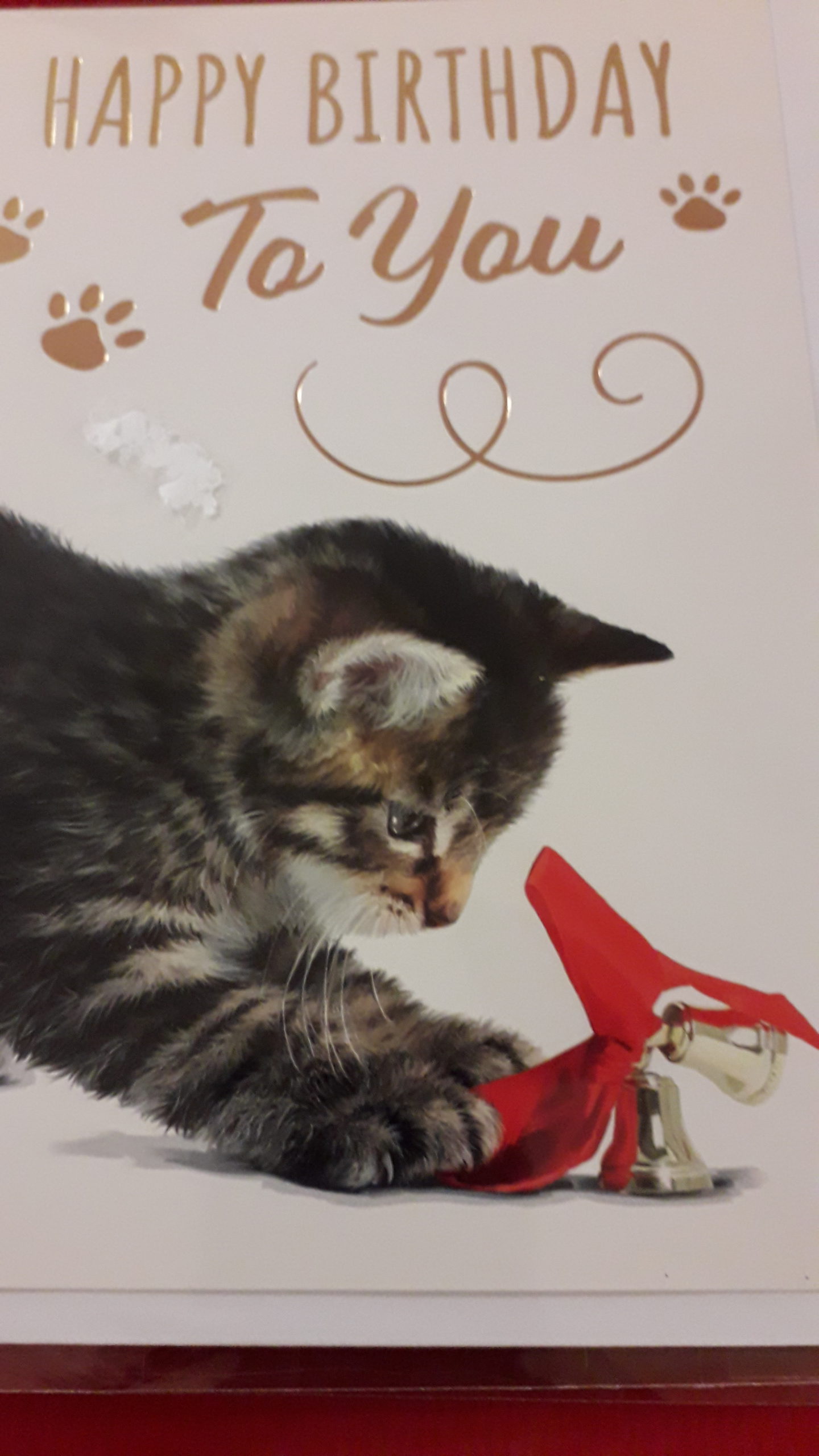 Funny Kitten Birthday Cards