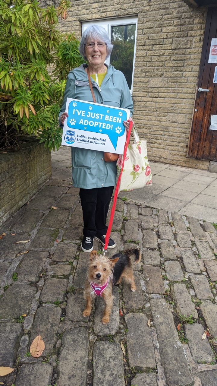 Adopting & Fees - RSPCA Halifax, Huddersfield, Bradford District Branch