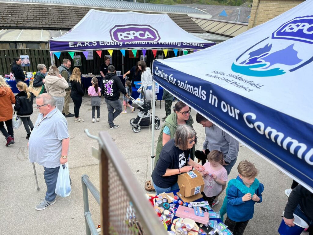 We raised £2000 at our Furry Friends Open Day! - RSPCA Halifax ...