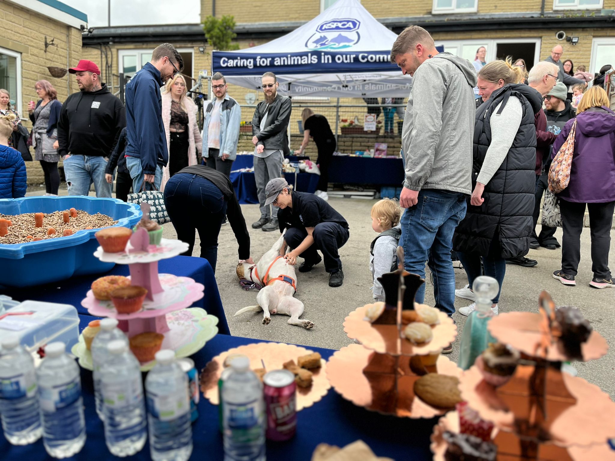 We raised £2000 at our Furry Friends Open Day! - RSPCA Halifax ...