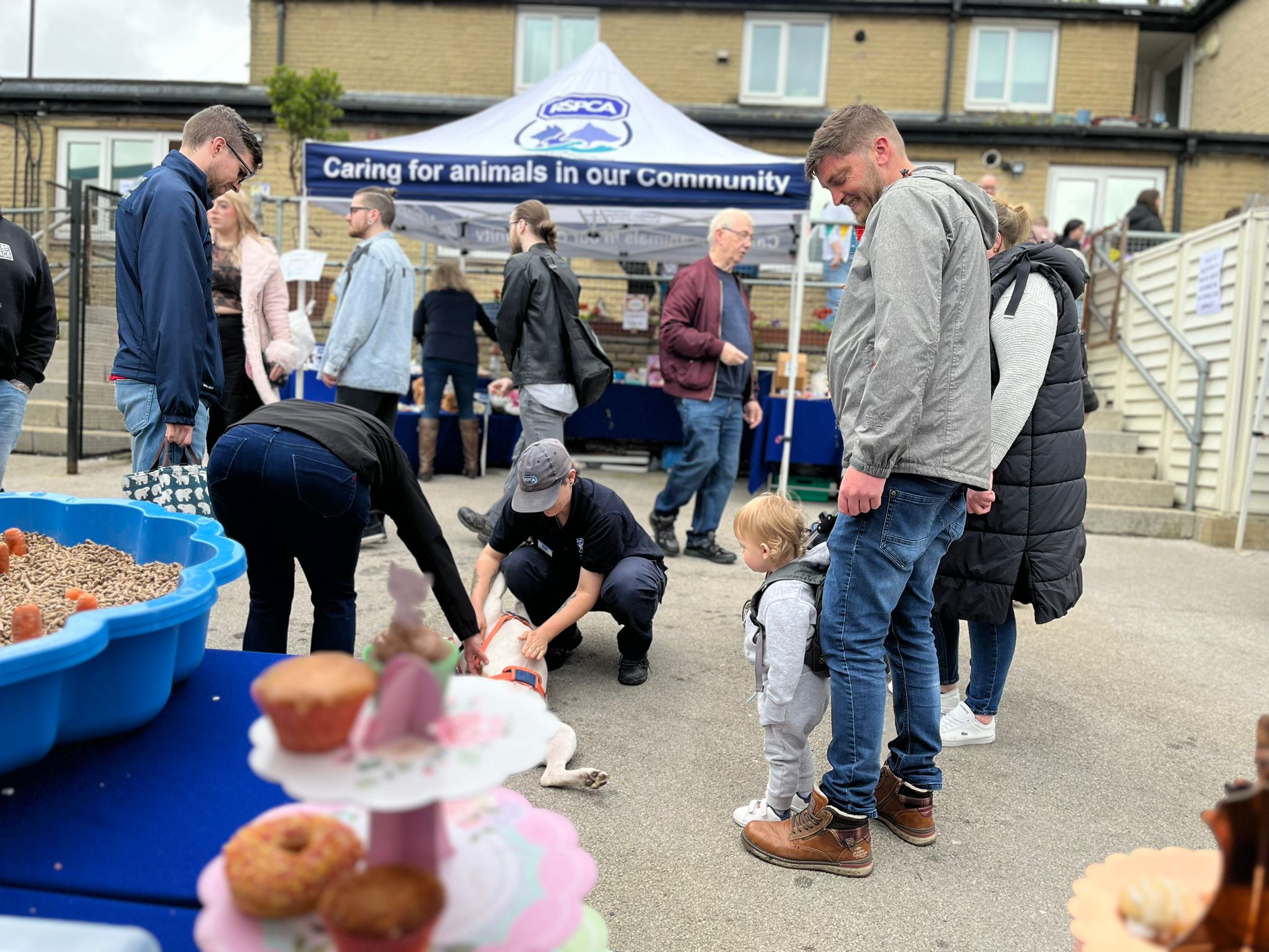 We raised £2000 at our Furry Friends Open Day! - RSPCA Halifax ...