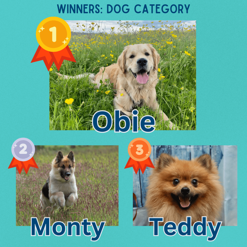 The winners of our 2024 Pet Photo Competition are... - RSPCA Halifax ...