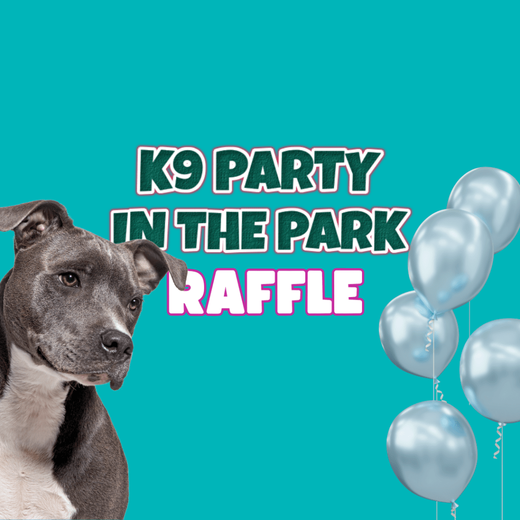 Get your K9 Party Raffle tickets here! - RSPCA Halifax, Huddersfield ...