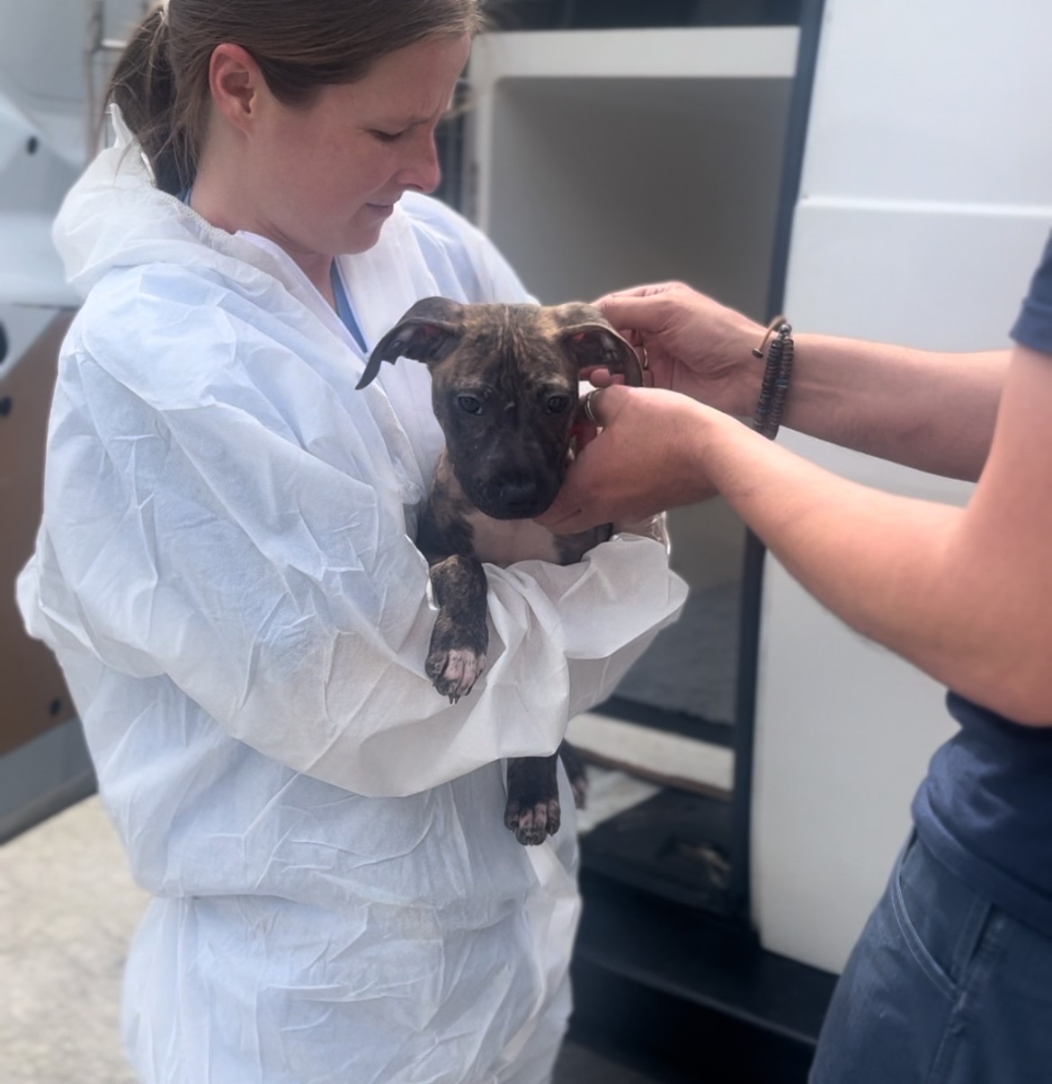 Vacancies - RSPCA Halifax, Huddersfield, Bradford District Branch