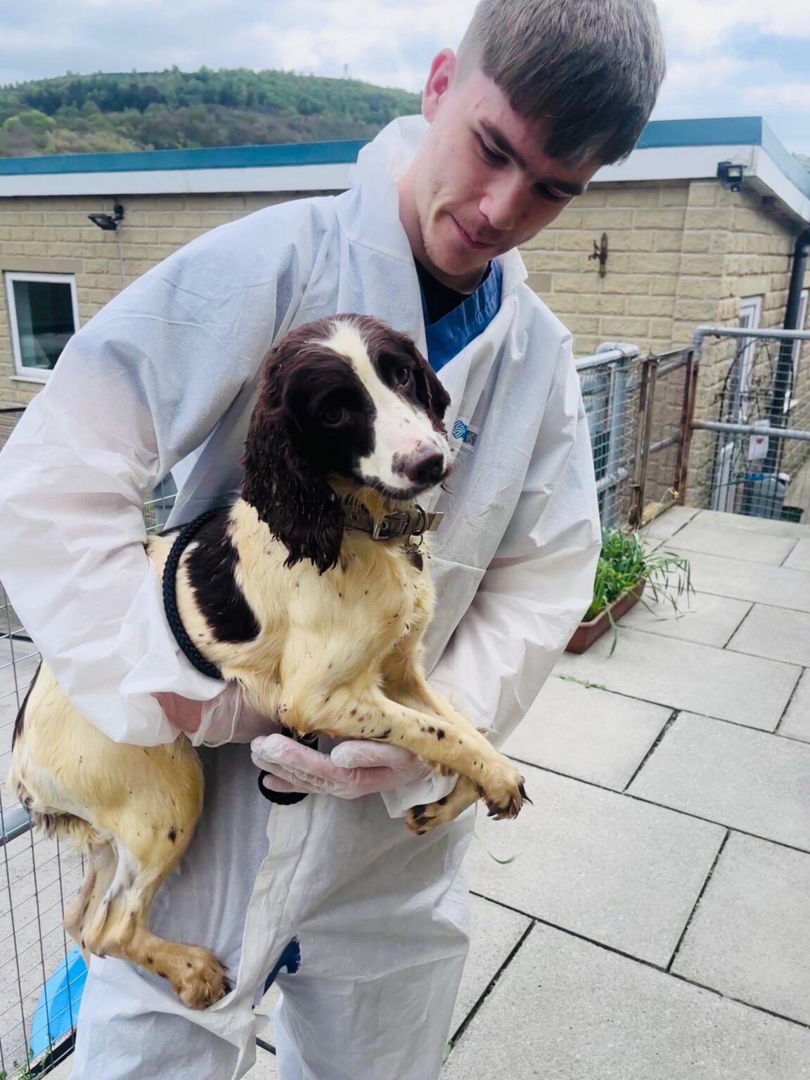 Our Vision & History - RSPCA Halifax, Huddersfield, Bradford District ...