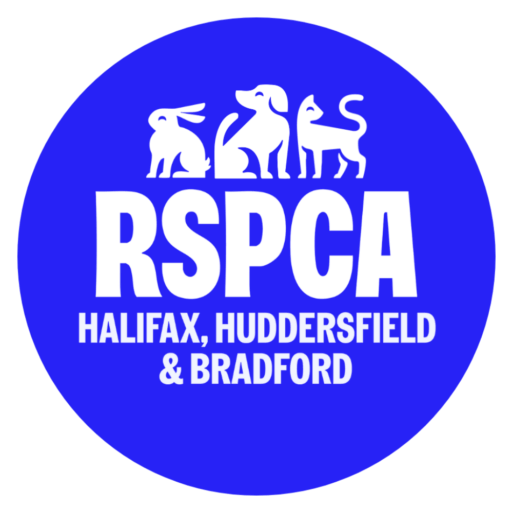 Stray Dogs - RSPCA Halifax, Huddersfield, Bradford District Branch