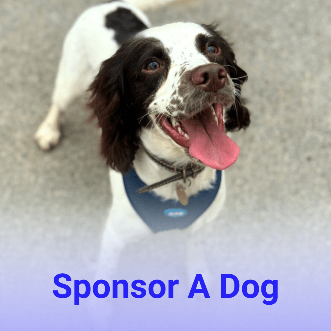 Sponsor An Animal - RSPCA Halifax, Huddersfield, Bradford District Branch