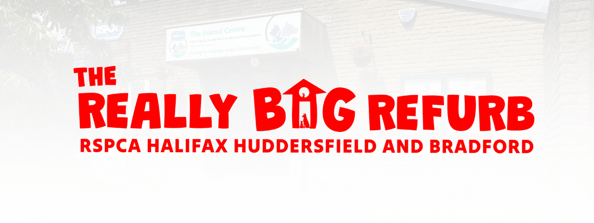 Our Really Big ReFURb is here! - RSPCA Halifax, Huddersfield, Bradford ...