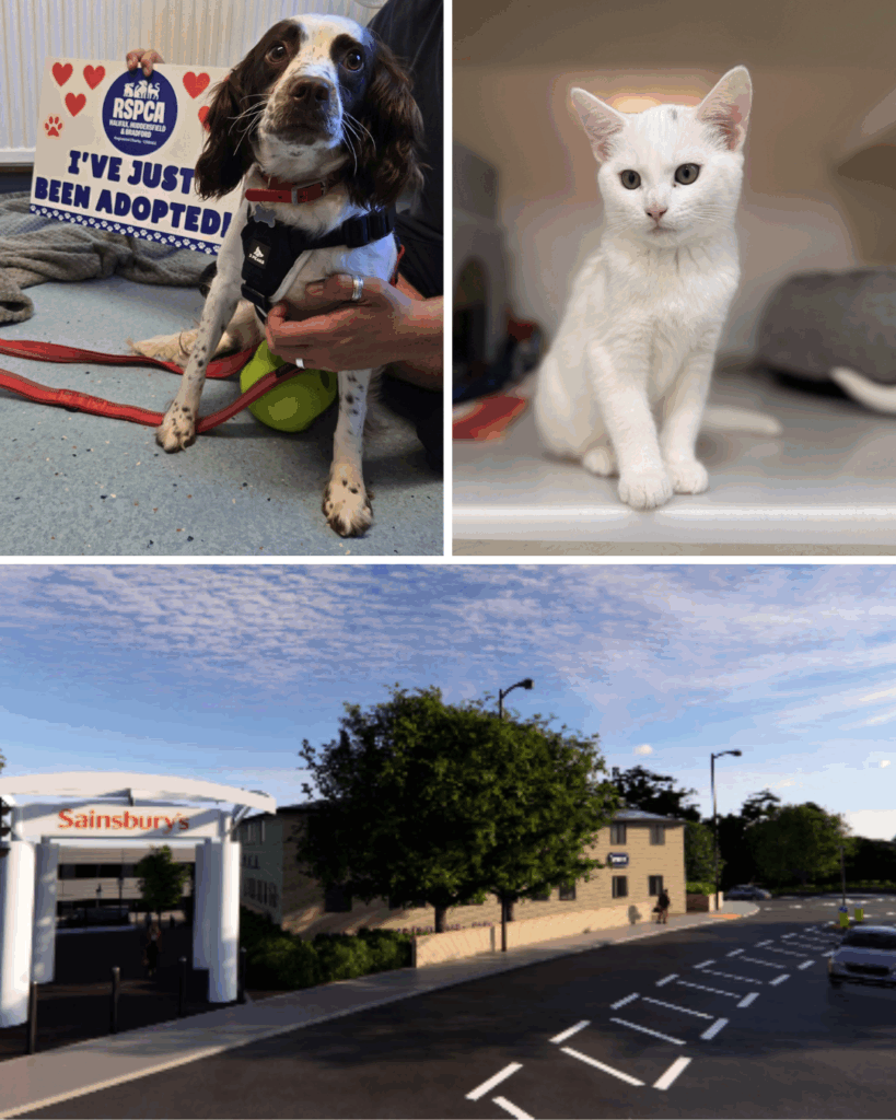 Our Really Big ReFURb is here! - RSPCA Halifax, Huddersfield, Bradford ...