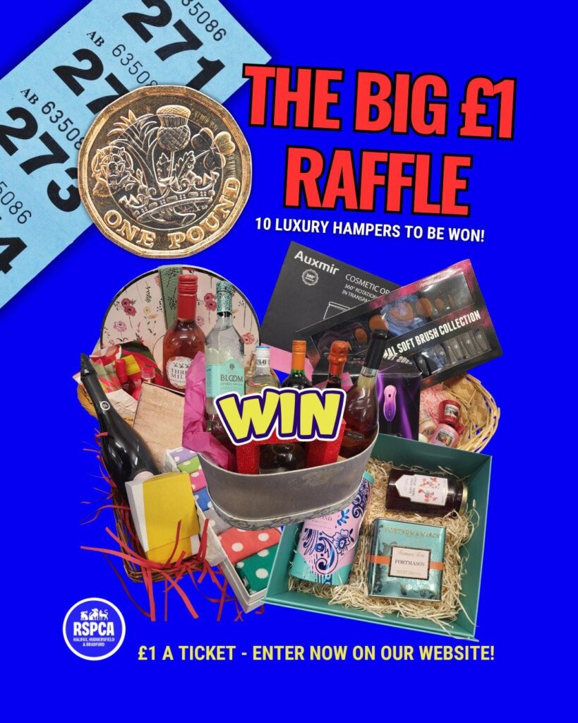 The Big £1 Raffle is Here! - RSPCA Halifax, Huddersfield, Bradford ...
